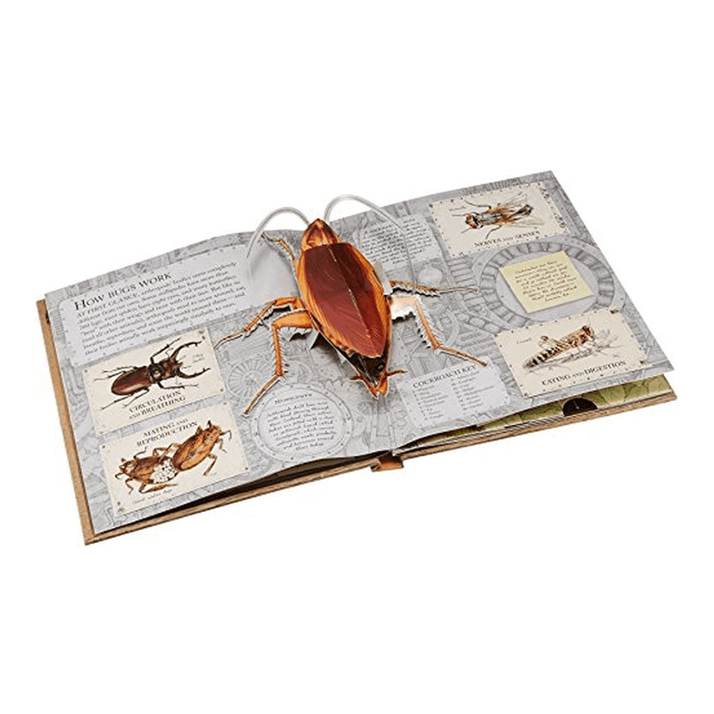 Bugs: A Pop-up Journey into the World of Insects, Spiders and Creepy ...